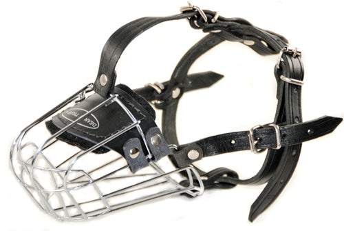 Dean & Tyler DT Basket Muzzle – HappypetHQ