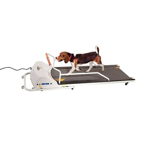 GoPet PR720F – Small/Medium Breed TreadMill
