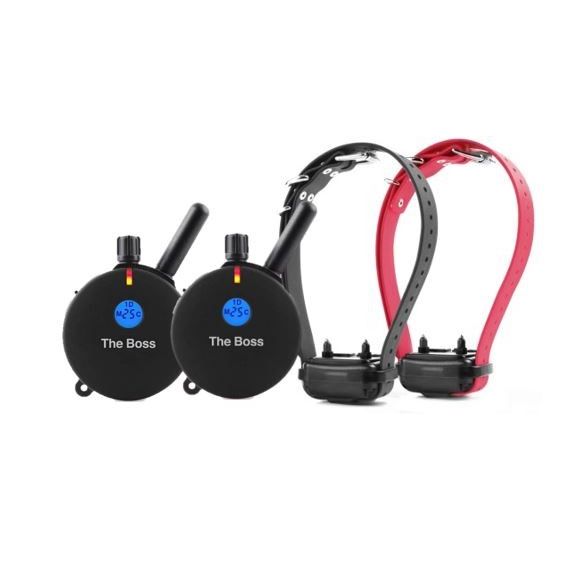E-Collar ET-802 2T 2-Dog Boss Educator with 2 Transmitters